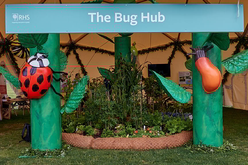 Bazaar Studios - CNC Polystyrene Cutting | Perudo Realisations Ltd